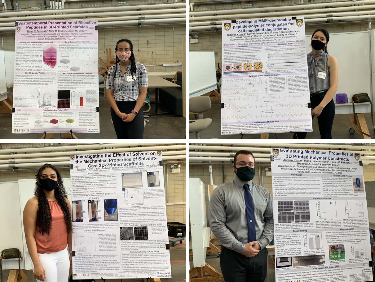 stem-si-2021-posters